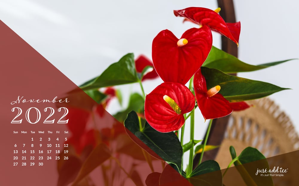 Free Desktop Watering Calendars