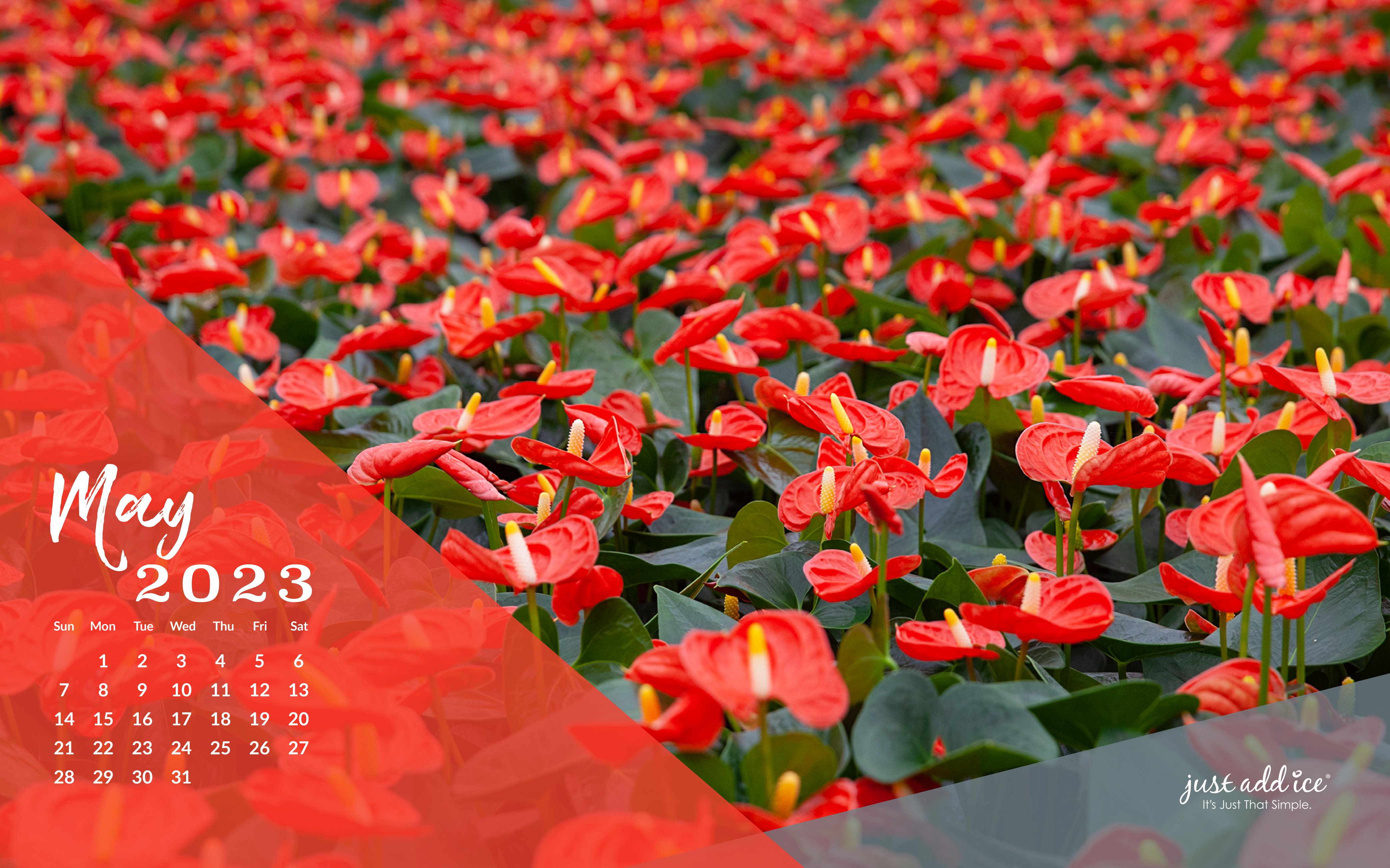 Free Desktop Watering Calendars