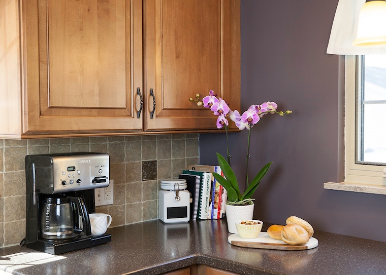 How to Find The Best Orchid Color For You